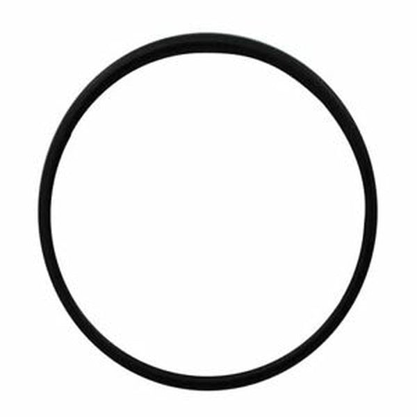 Evolution Cell Housing O'ring | Tropical Pool Store